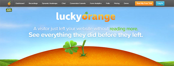 Lucky Orange: Did We Have Good Luck Or Bad Luck With This Host?